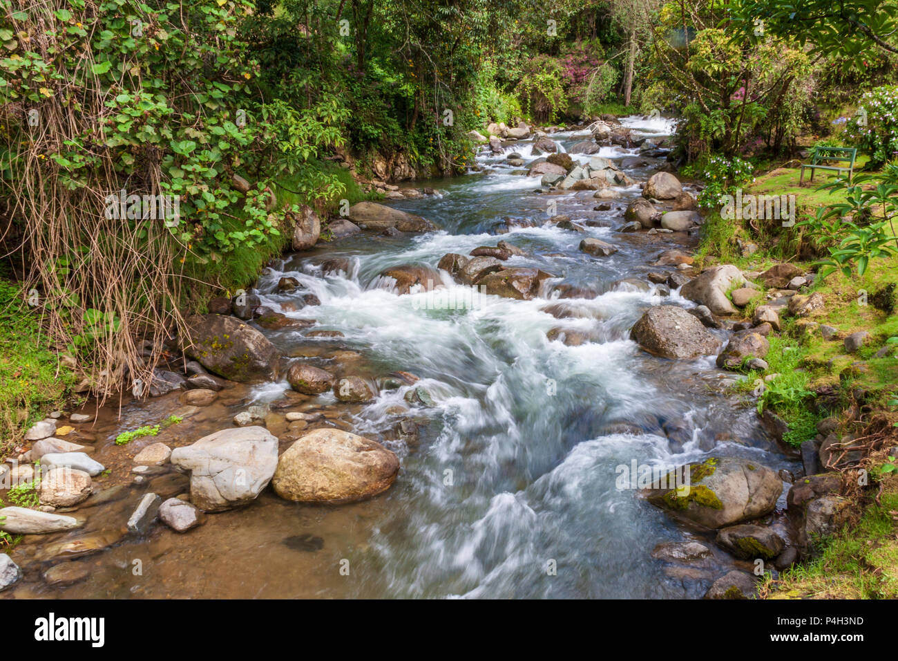 Rapids and currents on the Savegre River at the Savegre Mountain Lodge ...