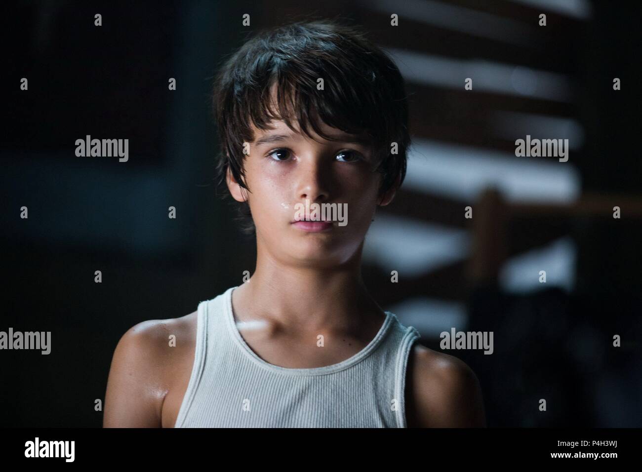 Original Film Title: SINISTER 2. English Title: SINISTER 2. Film Director: CIARAN FOY. Year ...