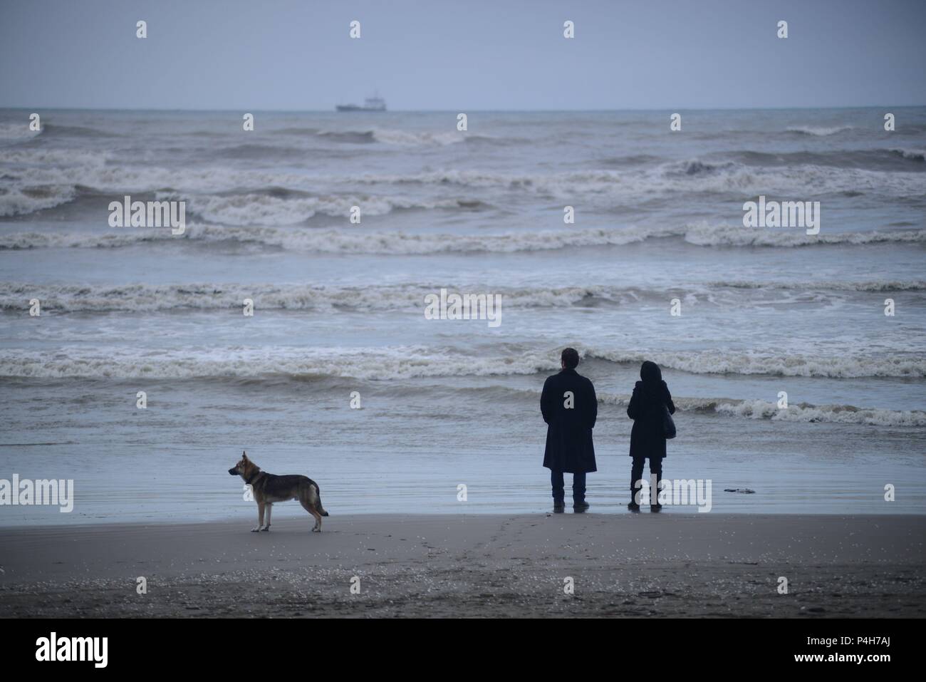 Original Film Title: NAHID. English Title: NAHID. Film Director: IDA ...