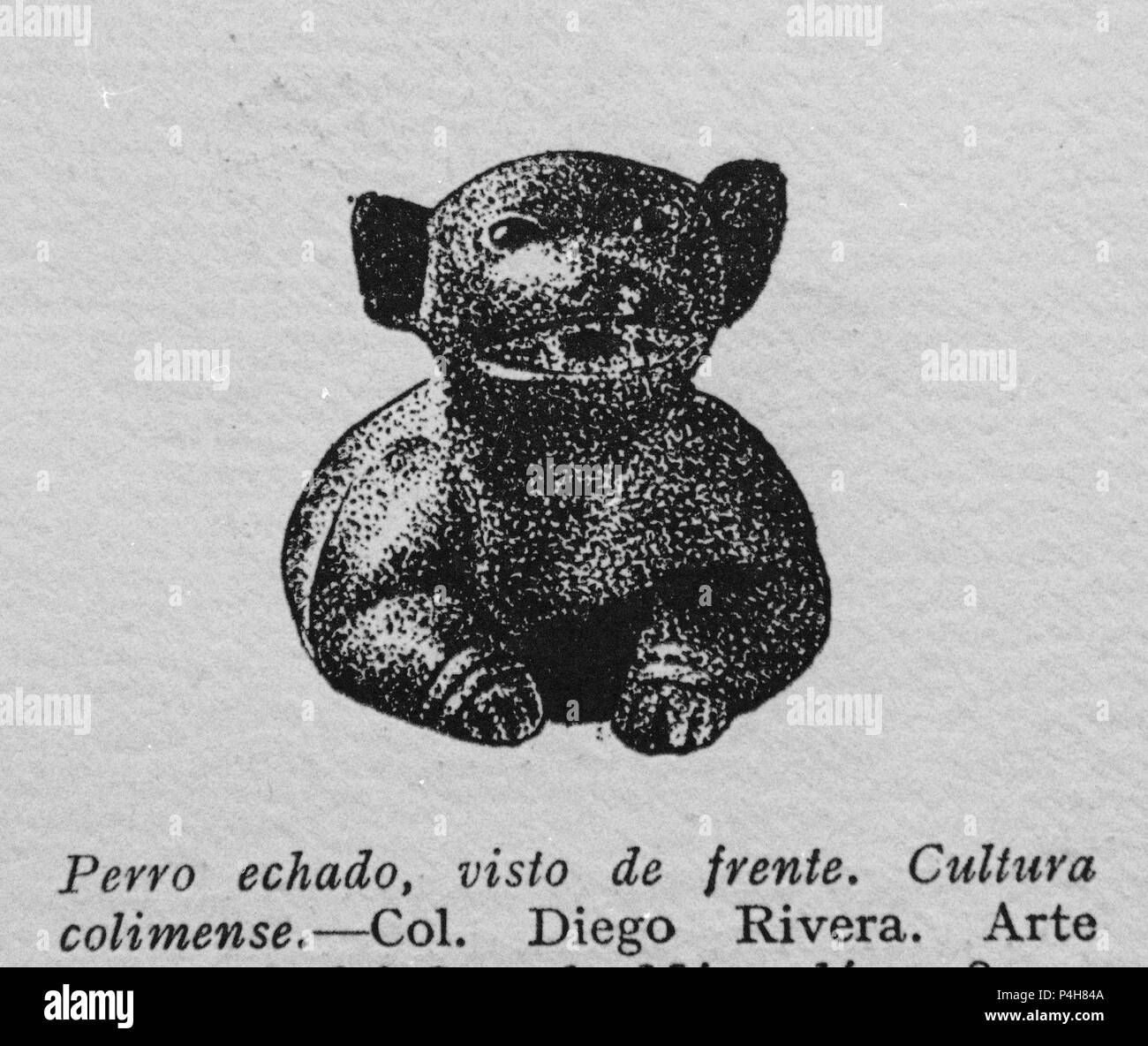 Perro echado Black and White Stock Photos & Images - Alamy