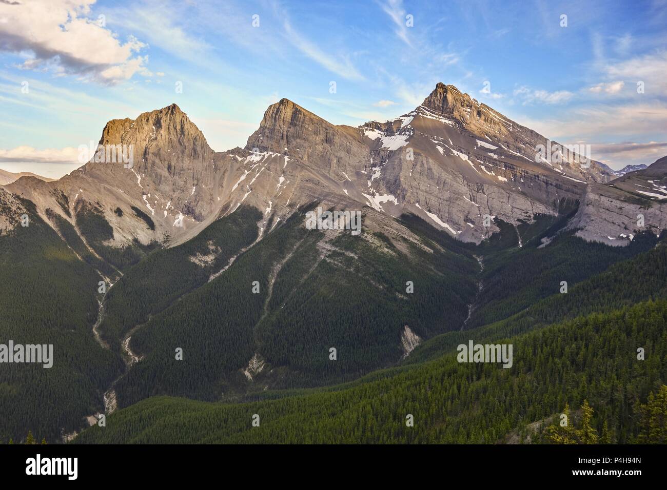 Grassi knob hi-res stock photography and images - Alamy