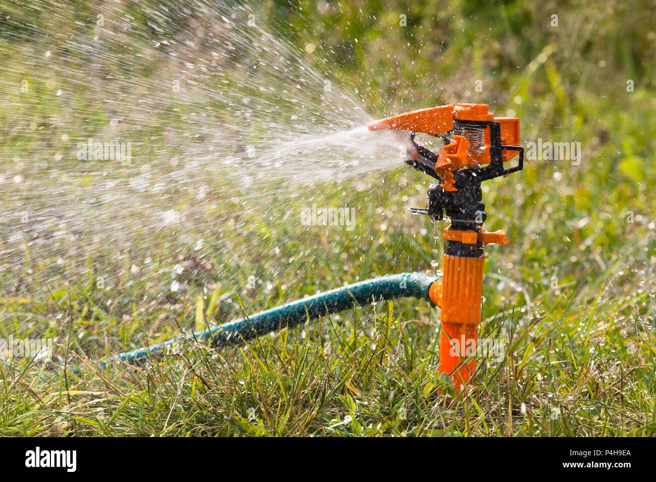 Sprinkler lawn garden hi-res stock photography and images - Alamy