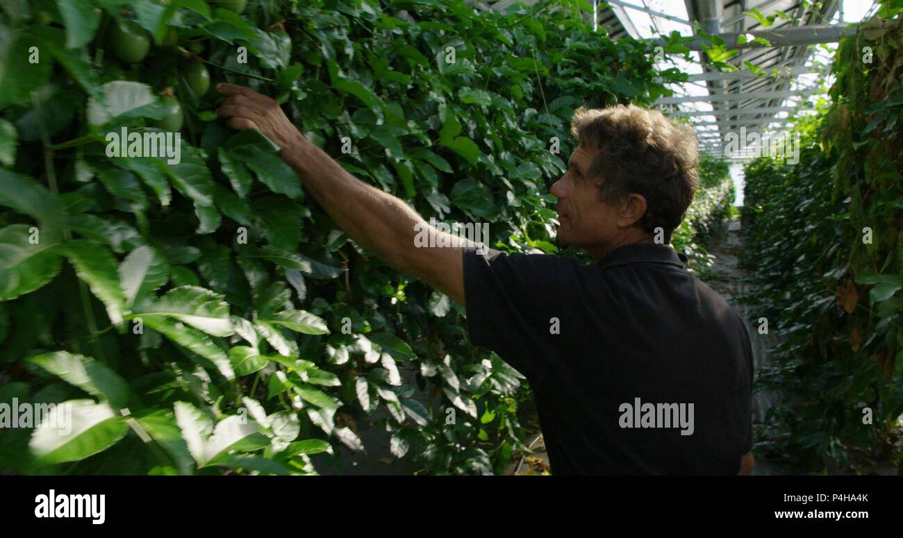 Demain hi-res stock photography and images - Alamy