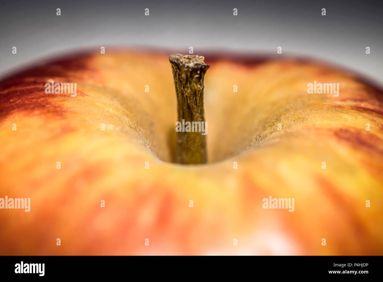 Upper part shot hi-res stock photography and images - Alamy