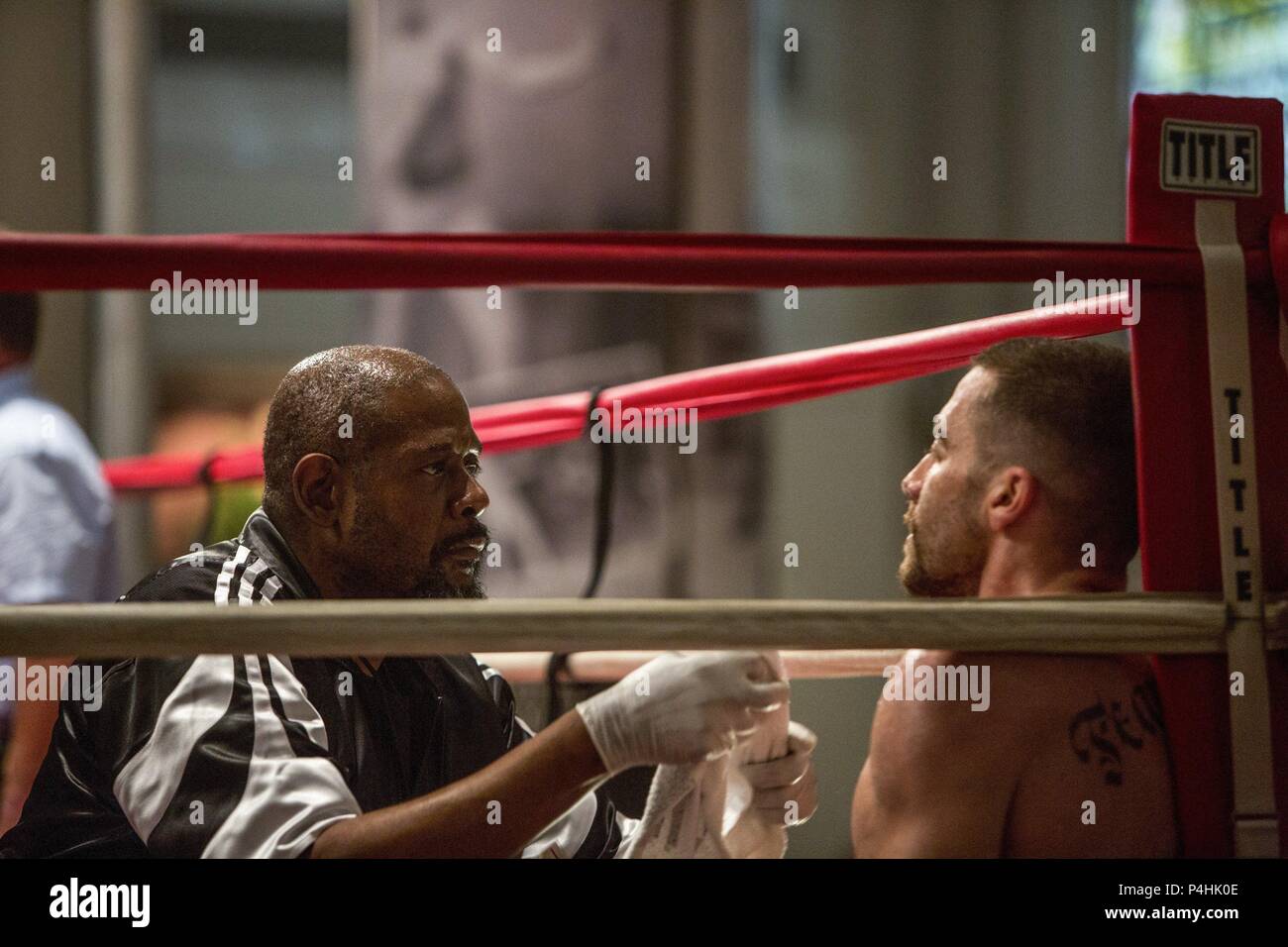 Original Film Title: SOUTHPAW. English Title: SOUTHPAW. Film Director ...