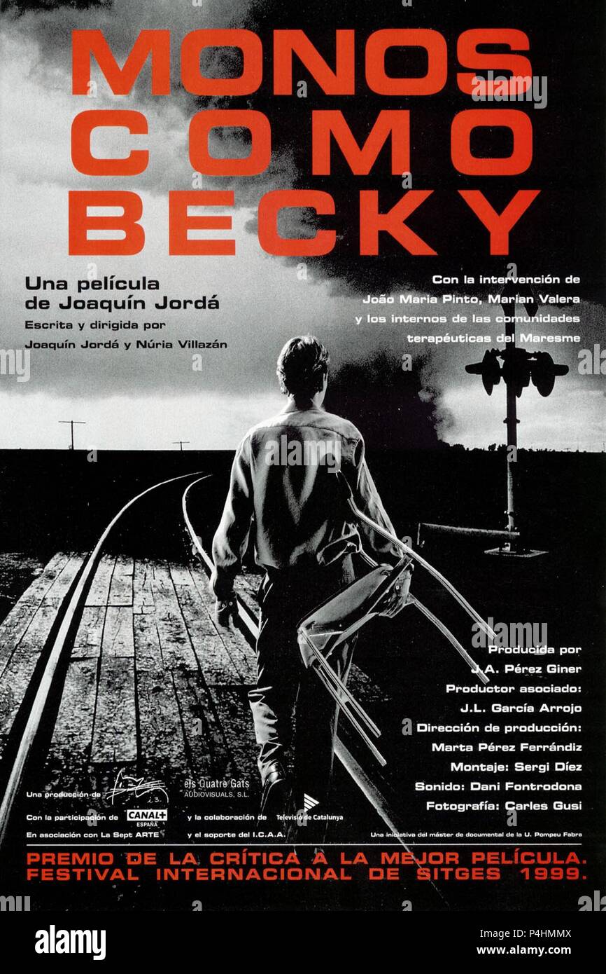 Monkeys like becky hi-res stock photography and images - Alamy