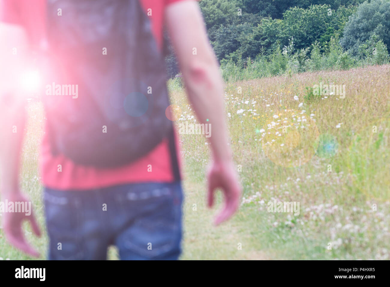 Man hiking and exploring outdoors. Walking away in a field Stock Photo ...