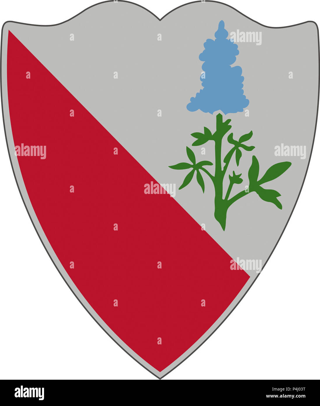 15th Brigade Support Battalion DUI Stock Photo - Alamy