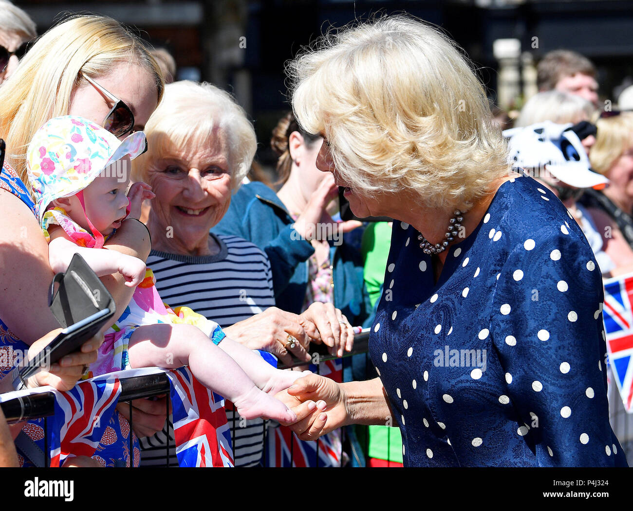 The Duchess of Cornwall during a visit to Salisbury where she saw the ...