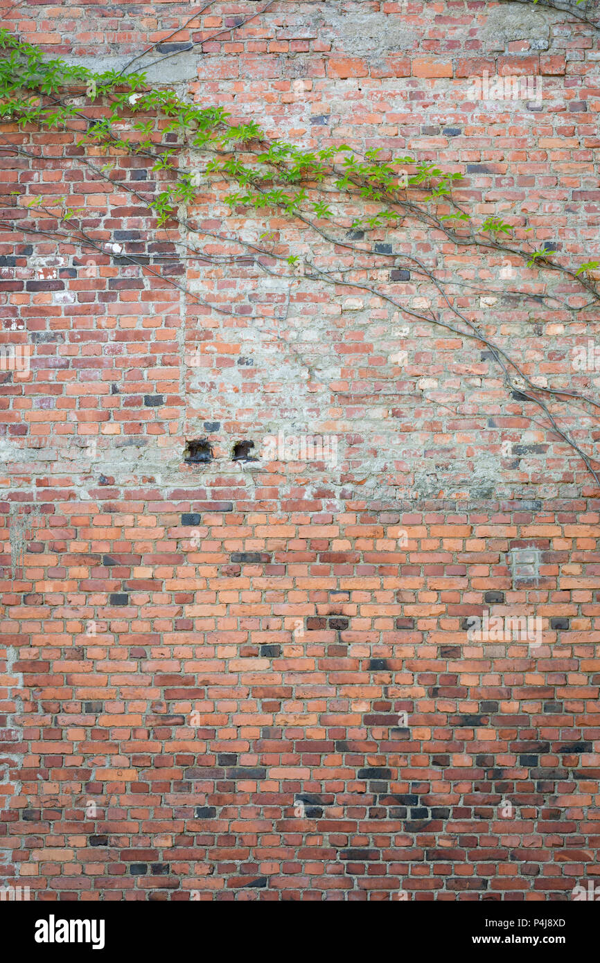 Old messy brick wall texture background exterior Stock Photo - Alamy