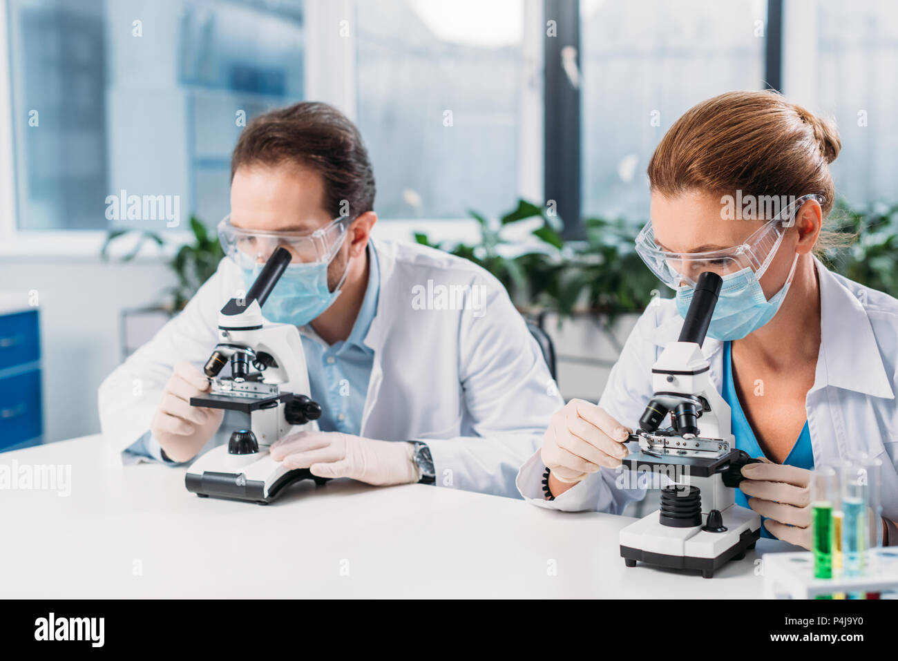 portrait of scientists in medical masks and gloves looking through microscopes on regents in lab ...