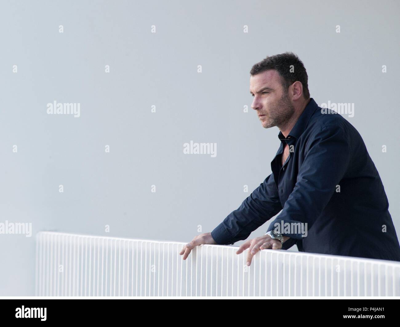Original Film Title: RAY DONOVAN. English Title: RAY DONOVAN. Film ...