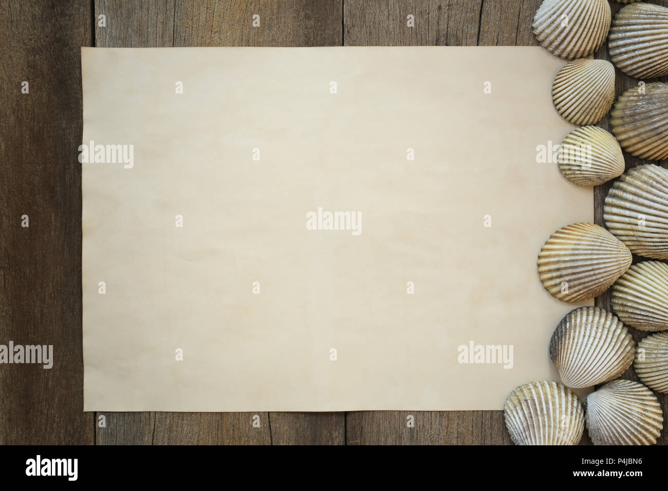 Shells and old paper vintage and have copy space for design in your ...