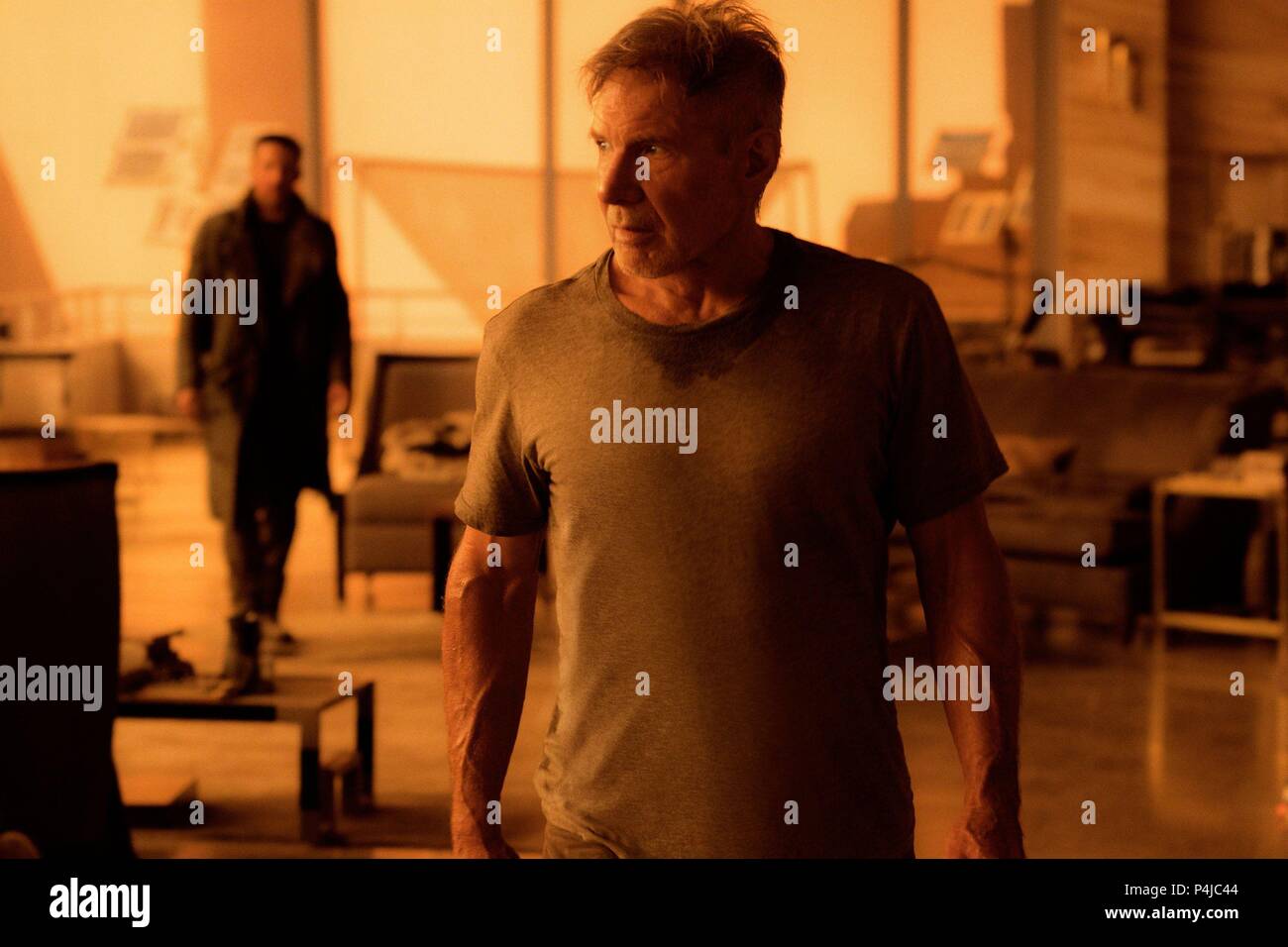 Original Film Title: BLADE RUNNER 2049. English Title: BLADE RUNNER ...