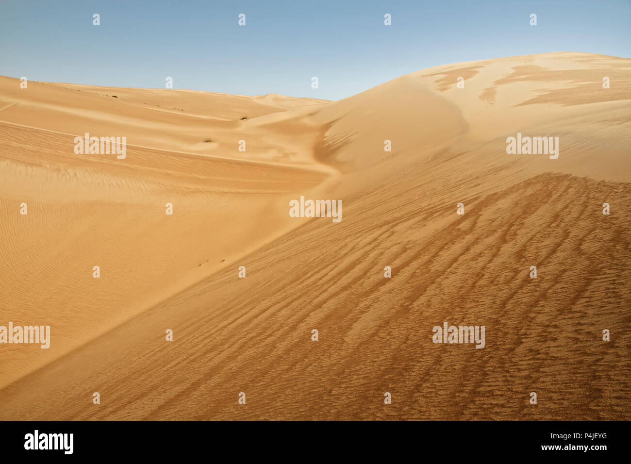 Beautiful sand dunes in the desert Stock Photo - Alamy