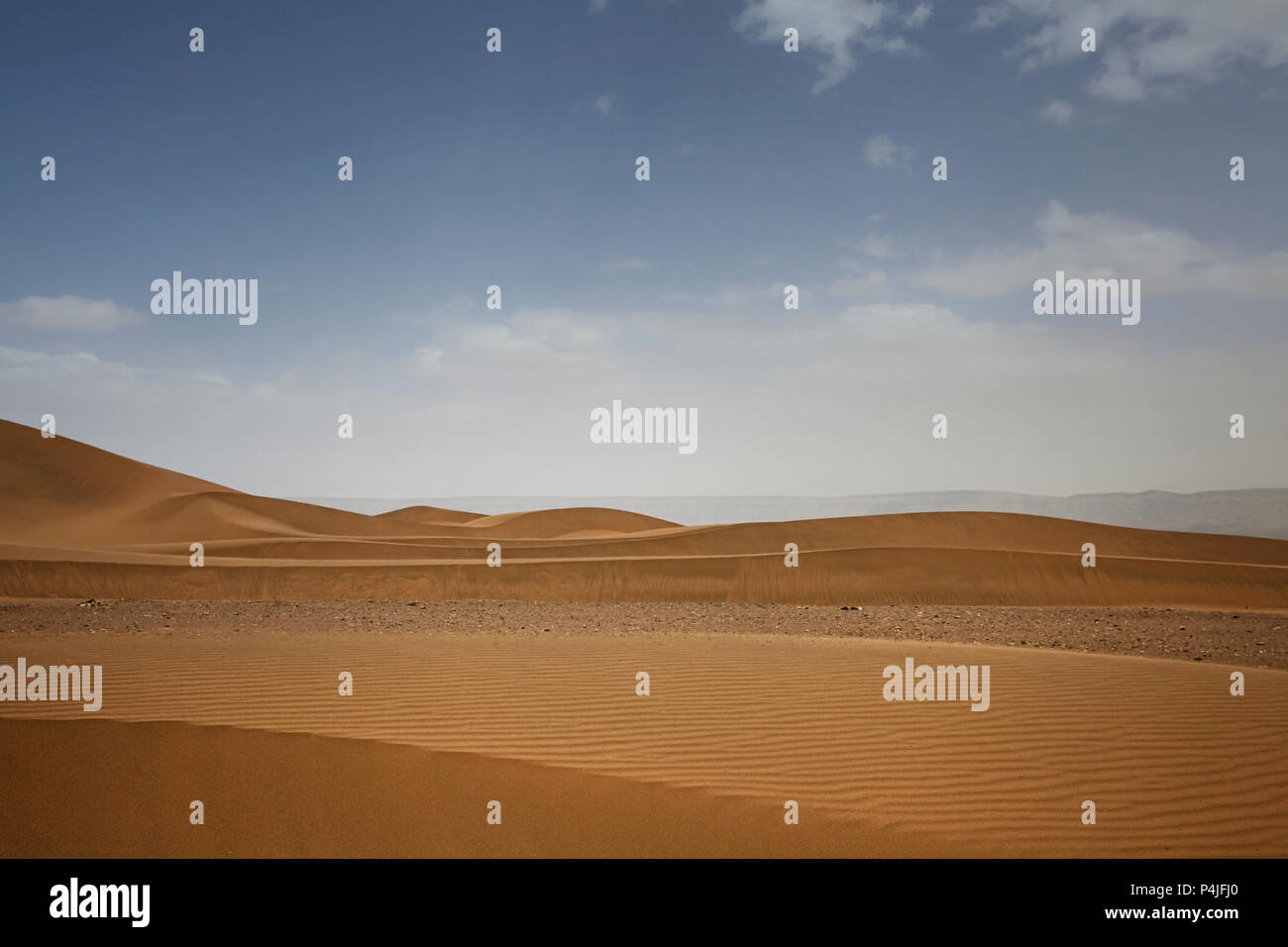 Sahara desert growth hi-res stock photography and images - Alamy