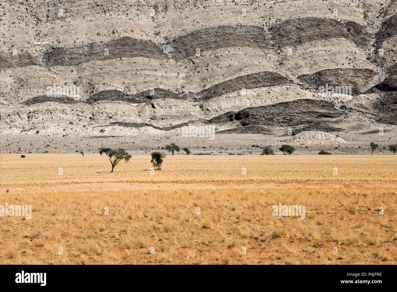 Landscape of Namib-Naukluft National Park is a national park of Namibia ...