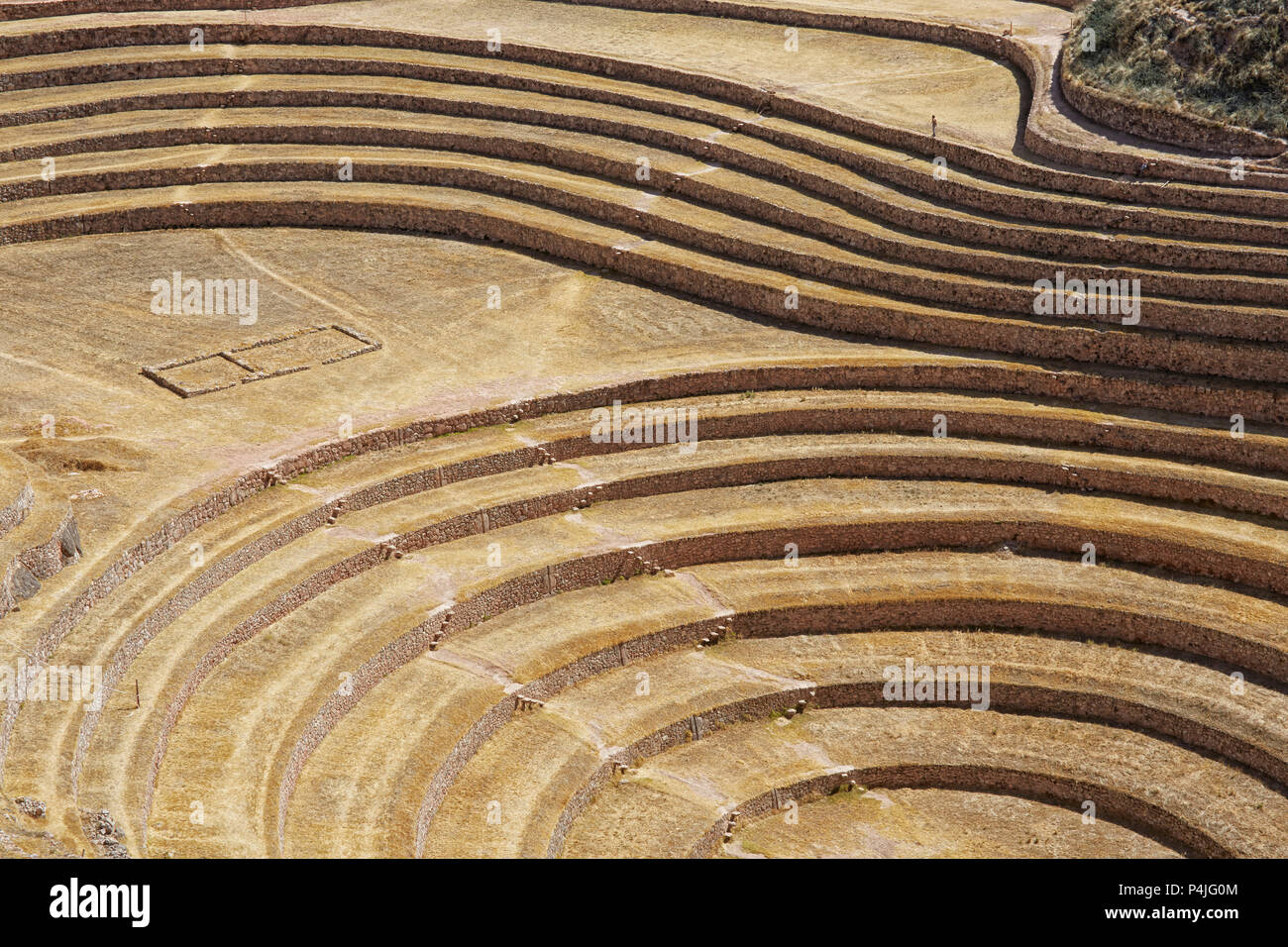 Inca Agricultural Construction High Resolution Stock Photography and ...