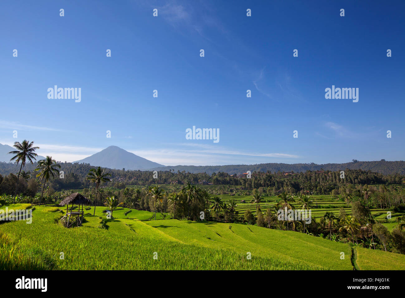 Mount agung bali plantation hi-res stock photography and images - Alamy