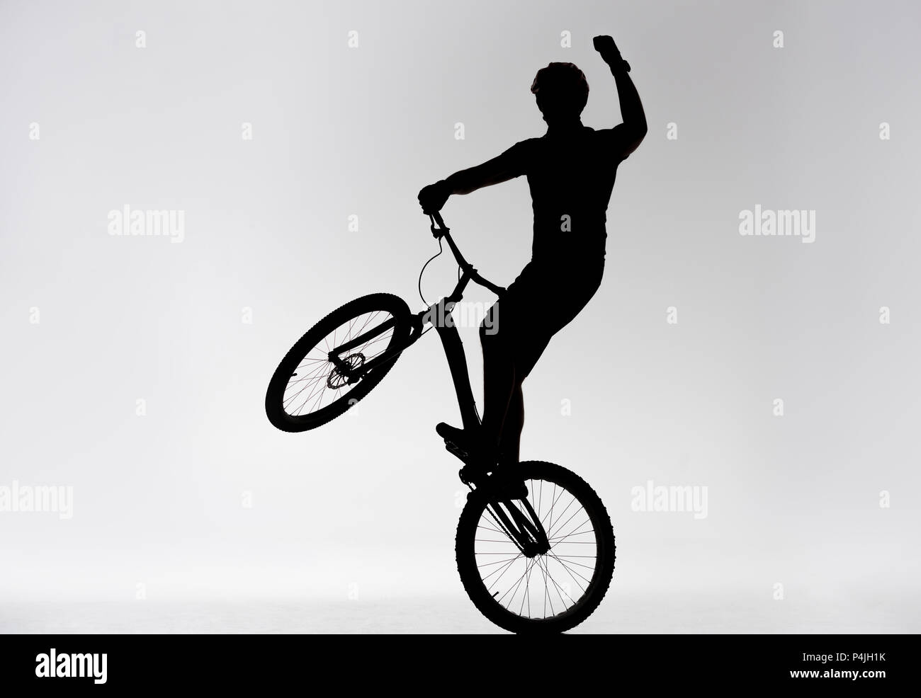 silhouette of trial biker standing on back wheel and raising hand on ...