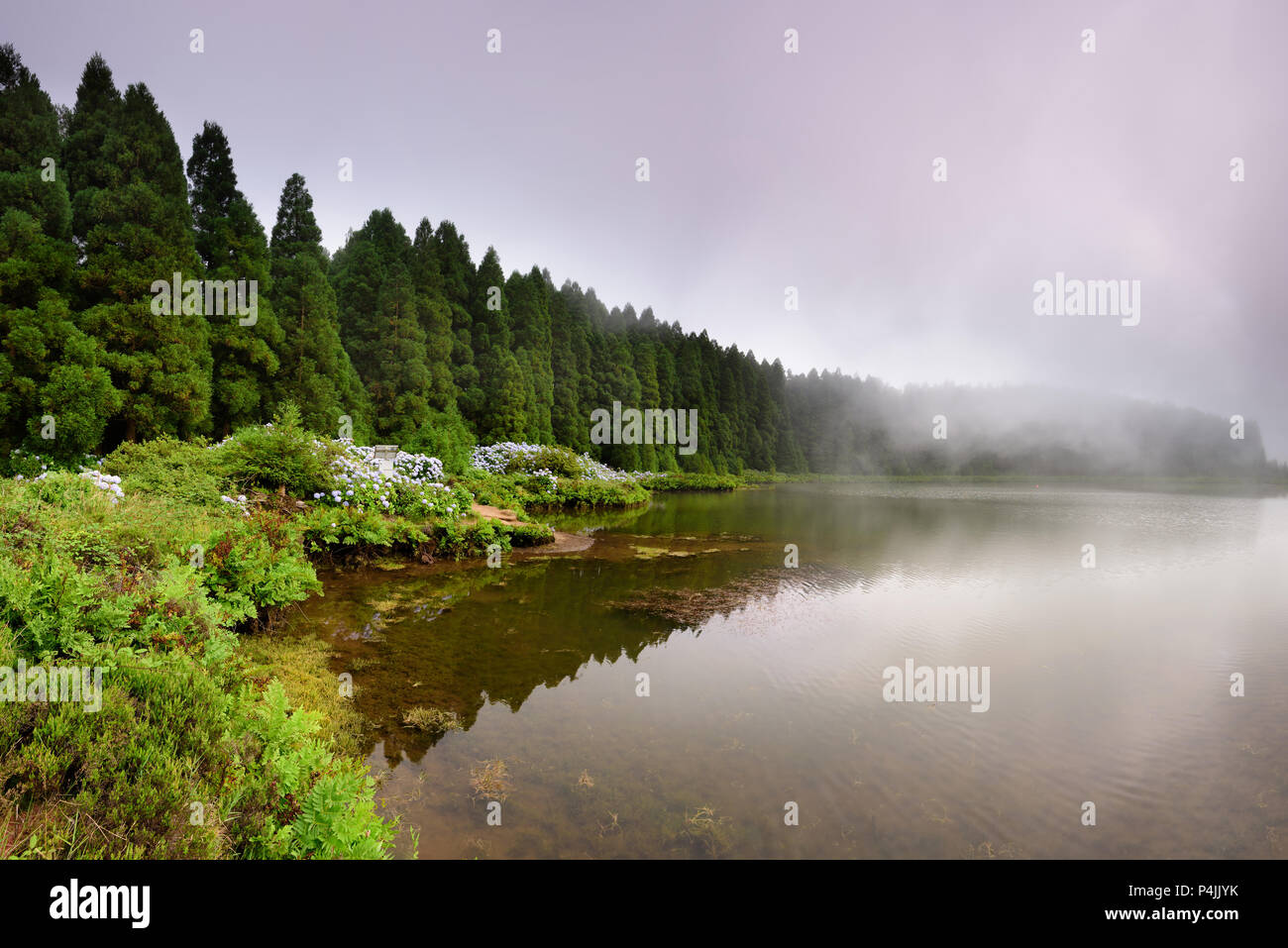Panoramic landscape from Azores lagoons. The Azores archipelago has ...