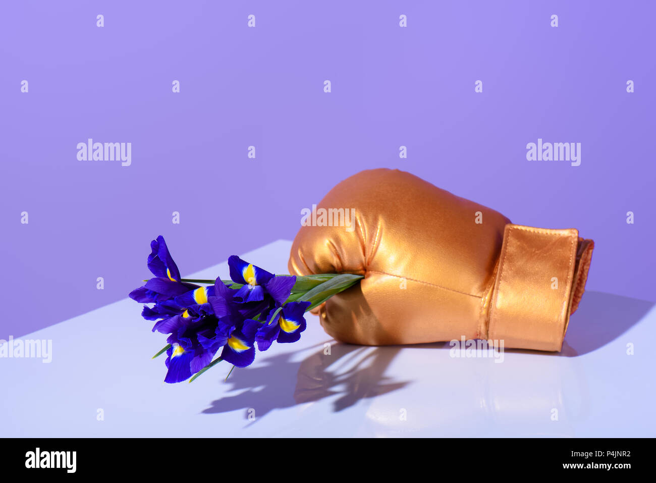 Boxing glove spring hi-res stock photography and images - Alamy