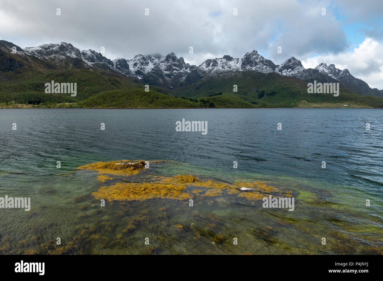 Myre norway hi-res stock photography and images - Alamy