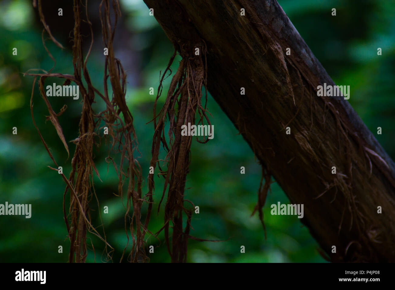 Rub horizontal hi-res stock photography and images - Alamy