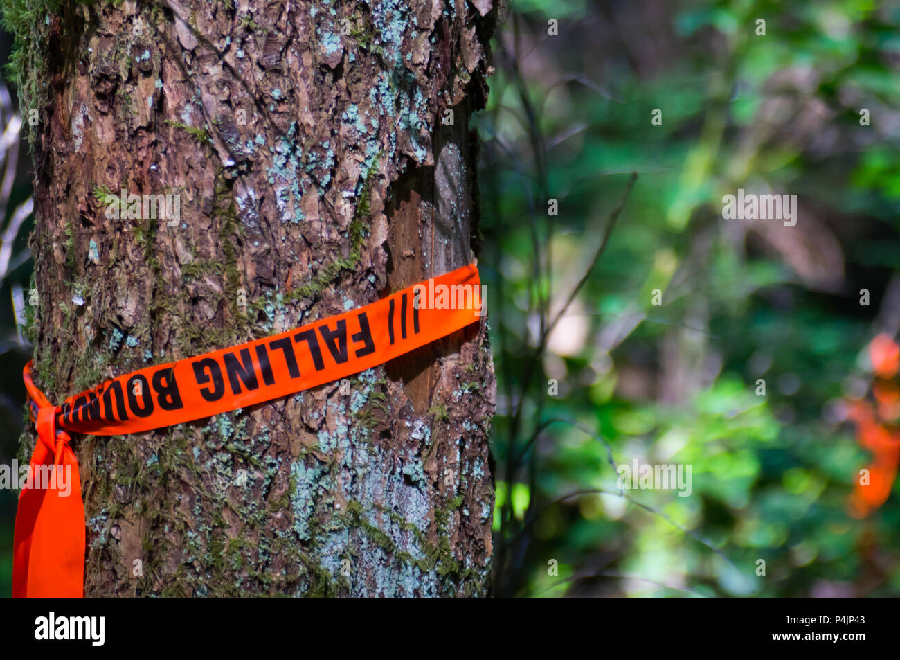Falling Boundary marker on Tree Stock Photo - Alamy