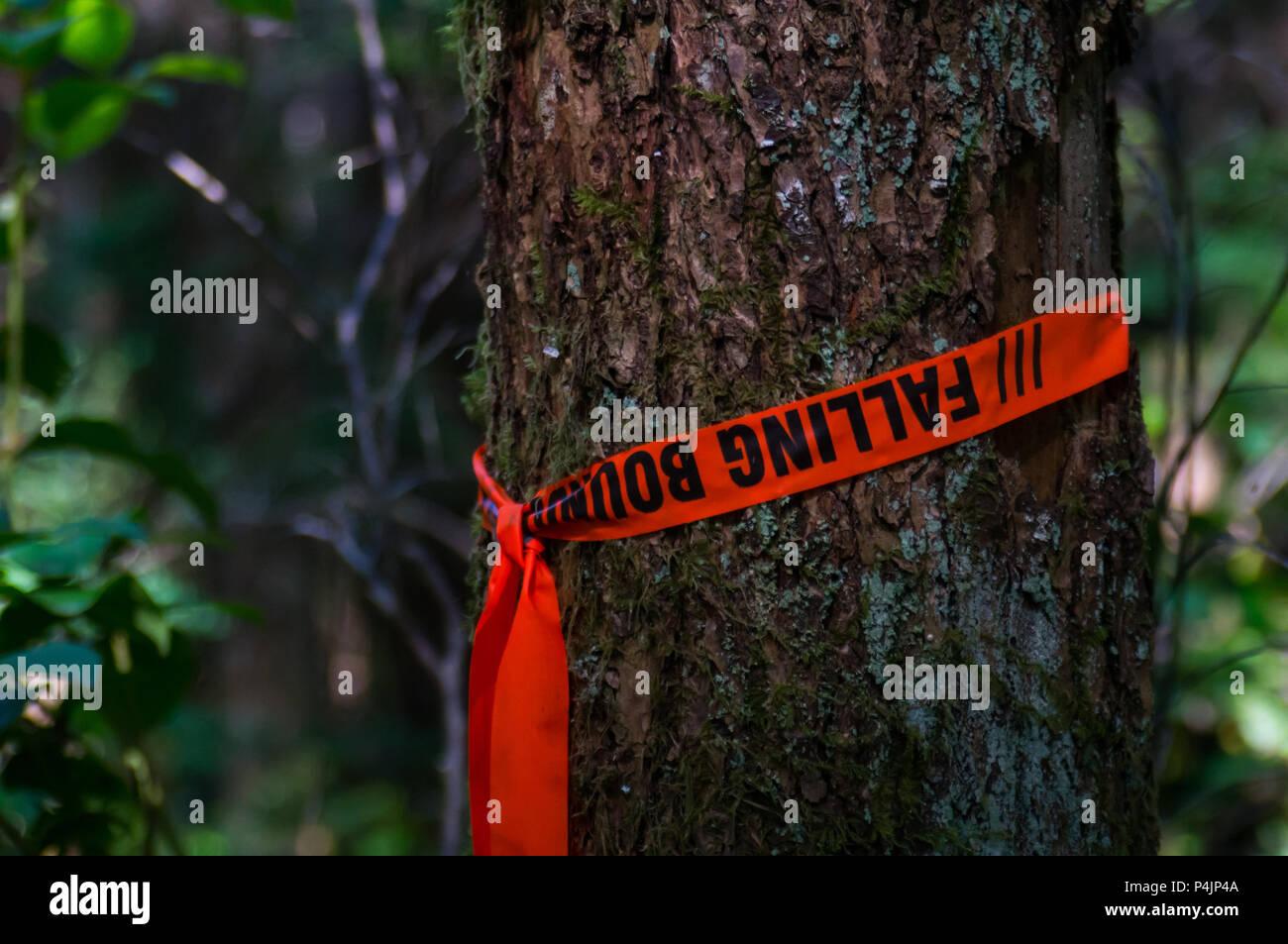 Falling Boundary marker on Tree Stock Photo - Alamy