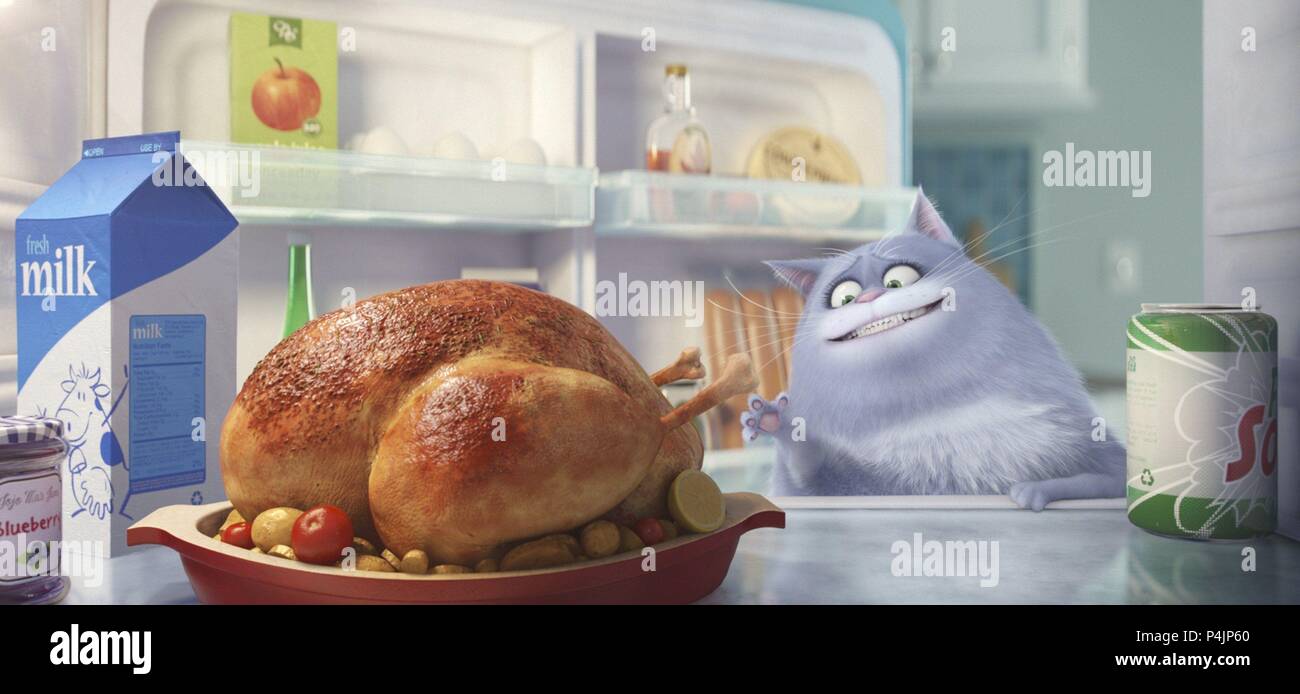 Original Film Title: THE SECRET LIFE OF PETS. English Title: THE SECRET ...