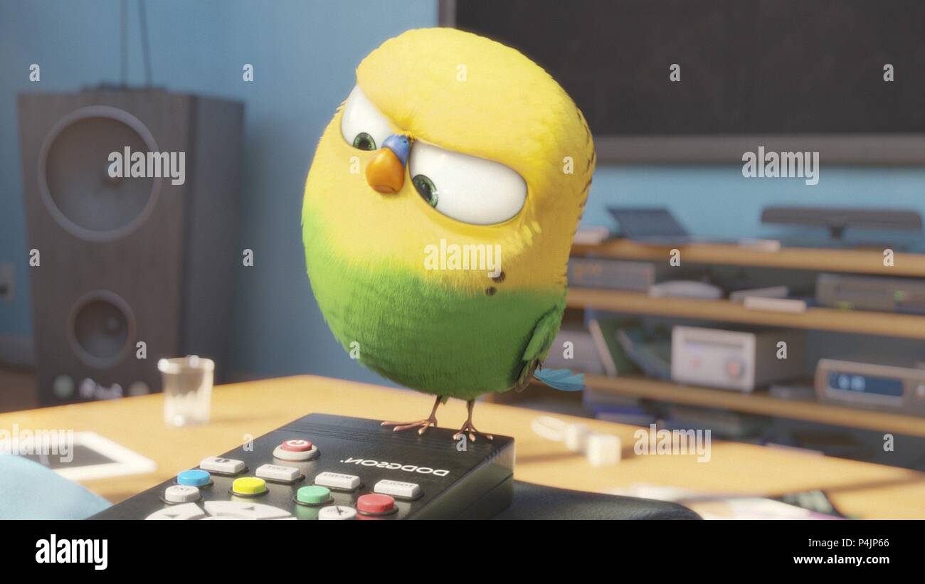 Original Film Title: THE SECRET LIFE OF PETS. English Title: THE SECRET ...