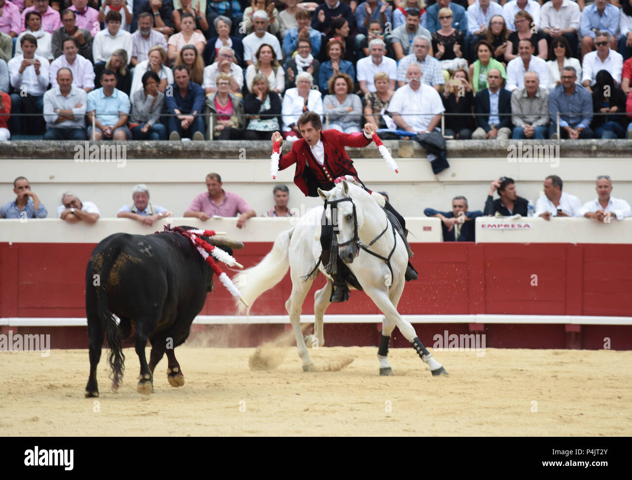Tauromachie à cheval hi-res stock photography and images - Alamy