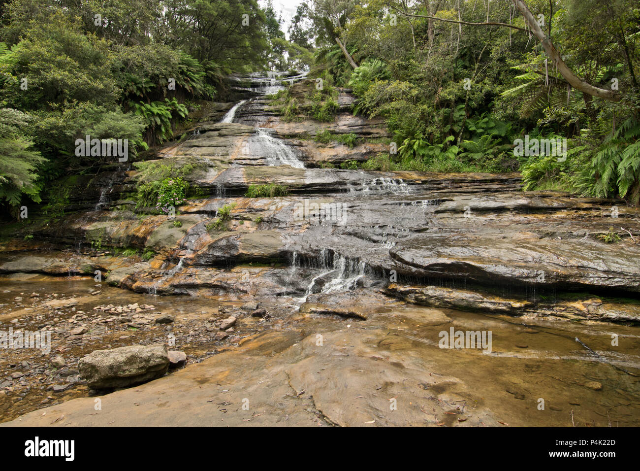 Natural cascade waterfall in Blue Mountains. Australia Stock Photo - Alamy