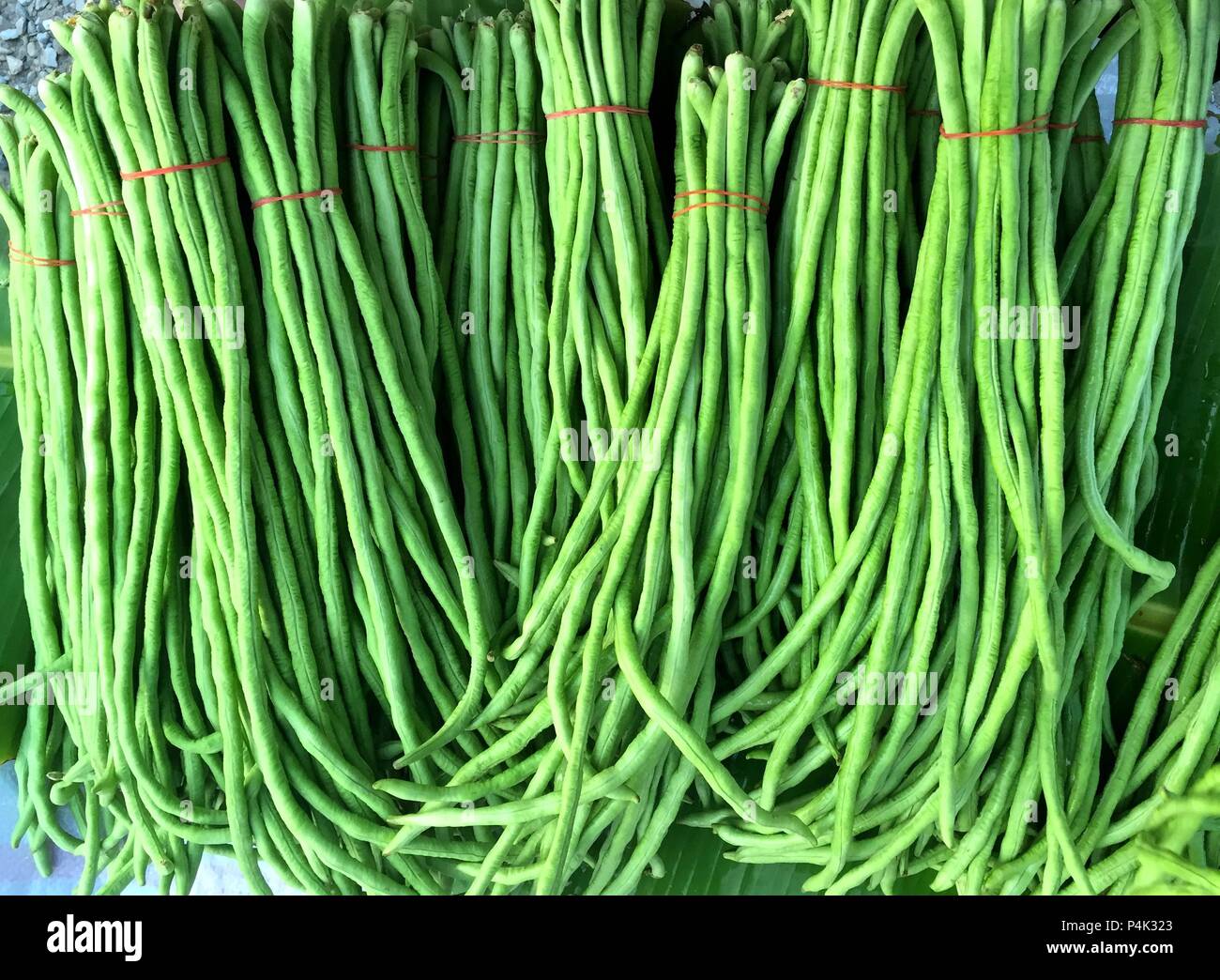 Yard long bean plants hi-res stock photography and images - Alamy