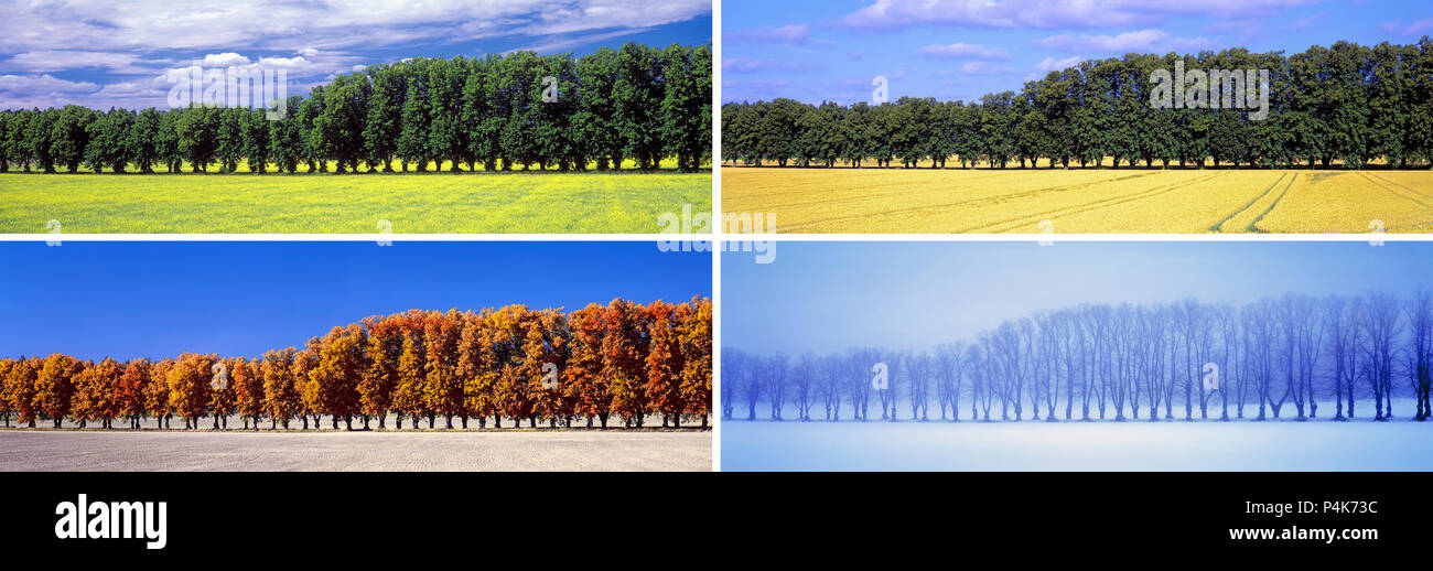 Panoramic images hi-res stock photography and images - Alamy