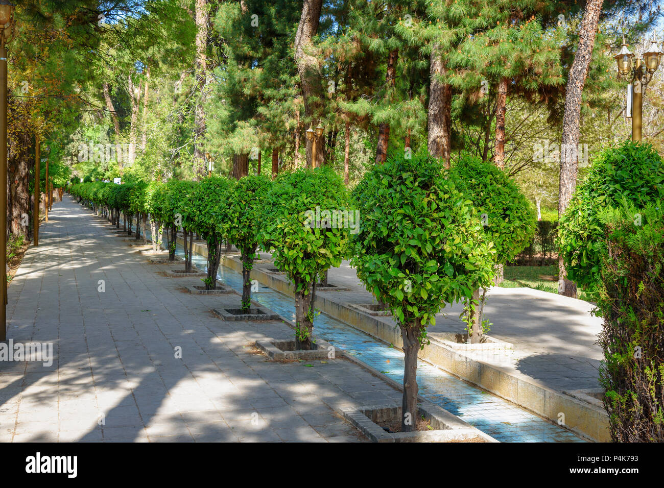 Shiraz iran garden hi-res stock photography and images - Alamy
