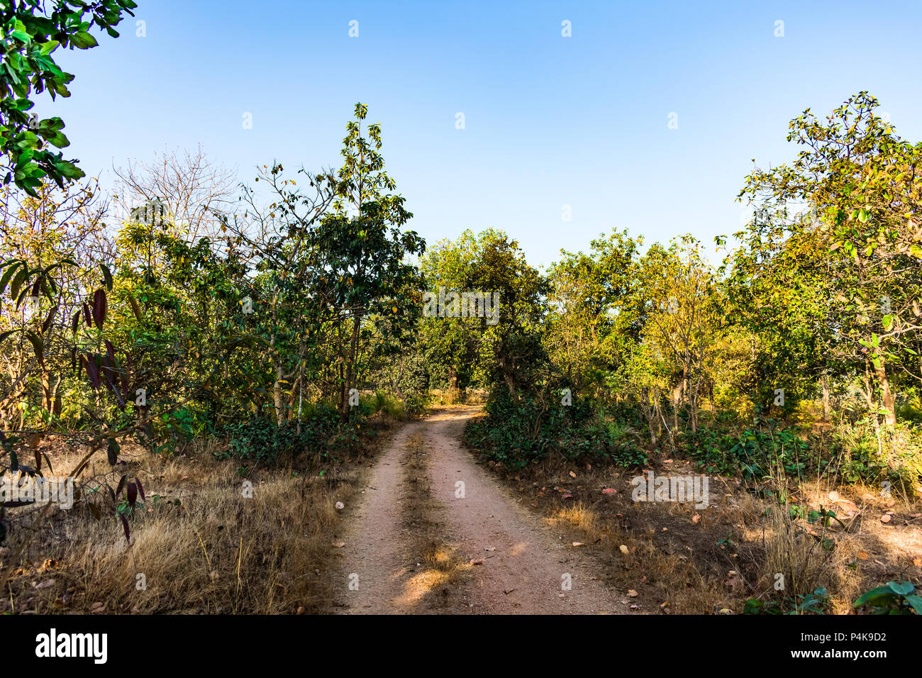 Remote pathway hi-res stock photography and images - Alamy