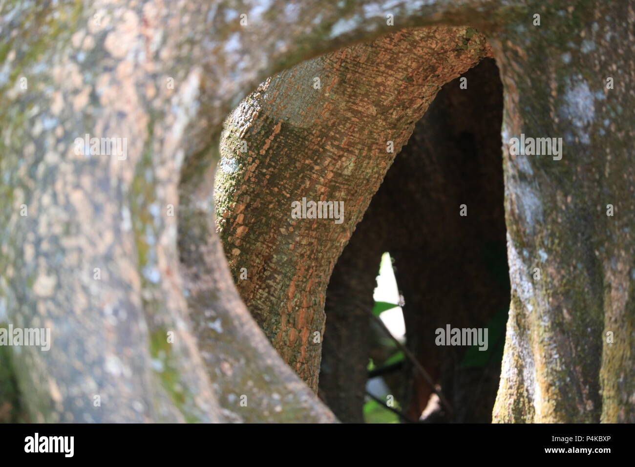 Wet cave hi-res stock photography and images - Alamy