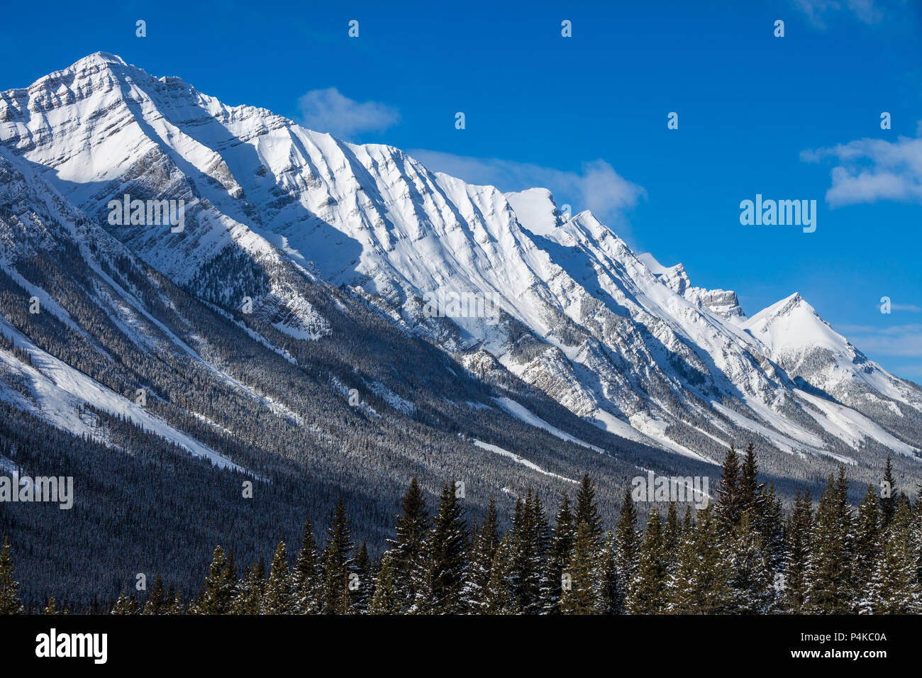 Ice trees mountain kananaskis hi-res stock photography and images - Alamy