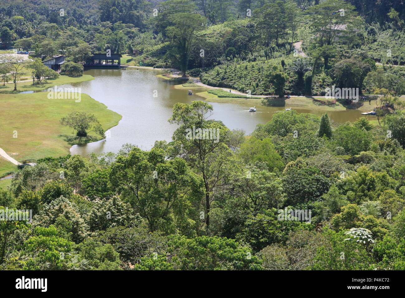 Seethawaka wet zone botanic garden hi-res stock photography and images ...