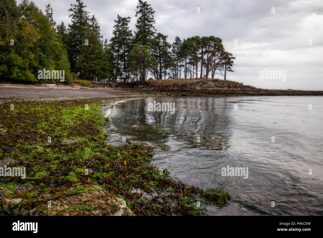 Galiano island view hi-res stock photography and images - Alamy