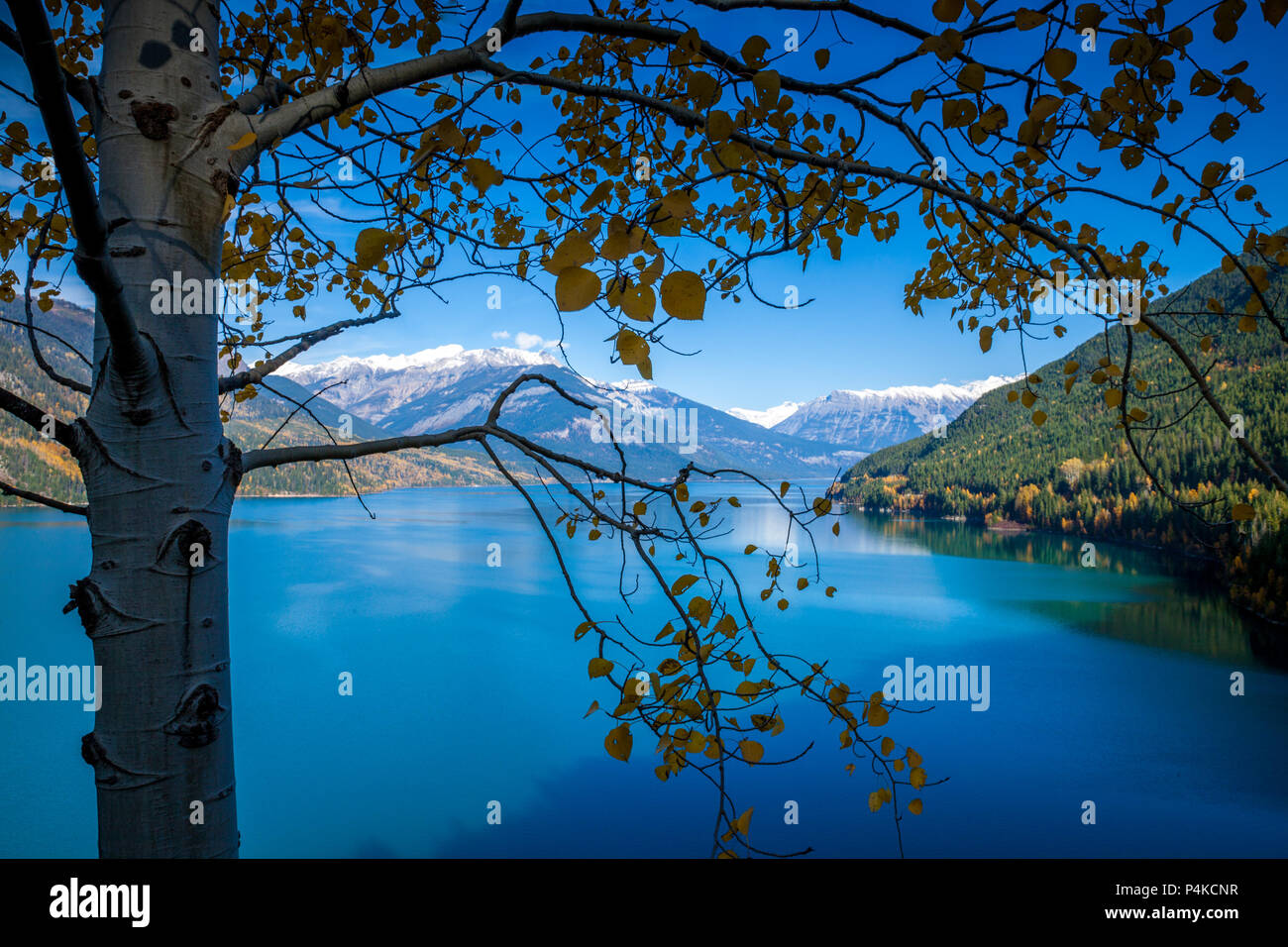Kinbasket lake hi-res stock photography and images - Alamy