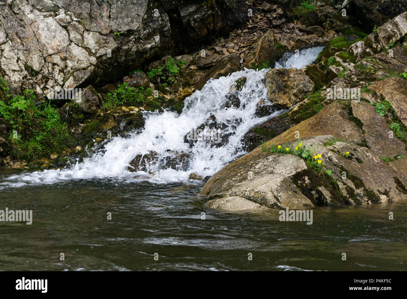 The spring follows a waterfall from the rock and flows into the river ...