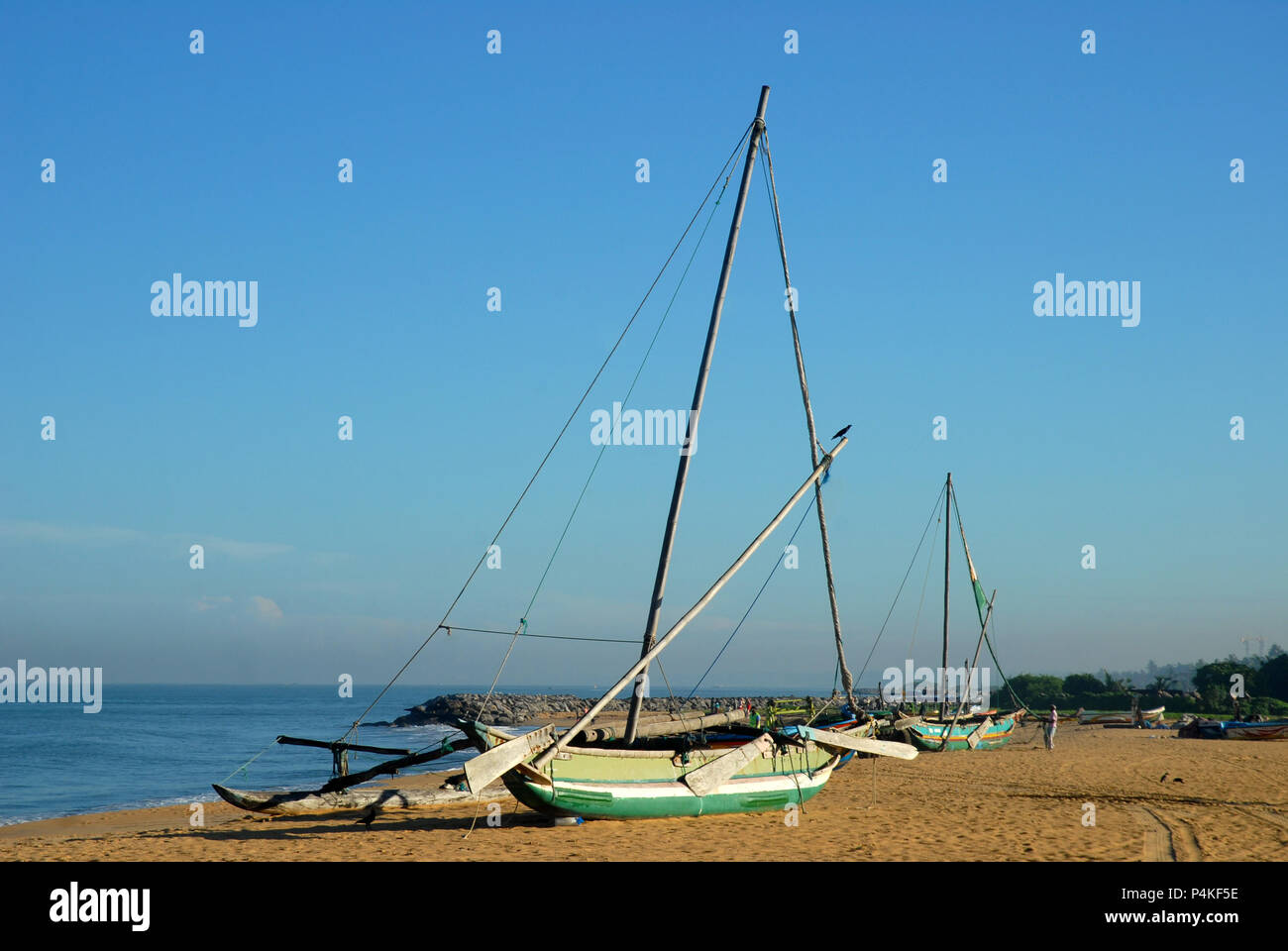 Oruva (traditional outrigger dug-out canoe), Negombo beach, Western ...
