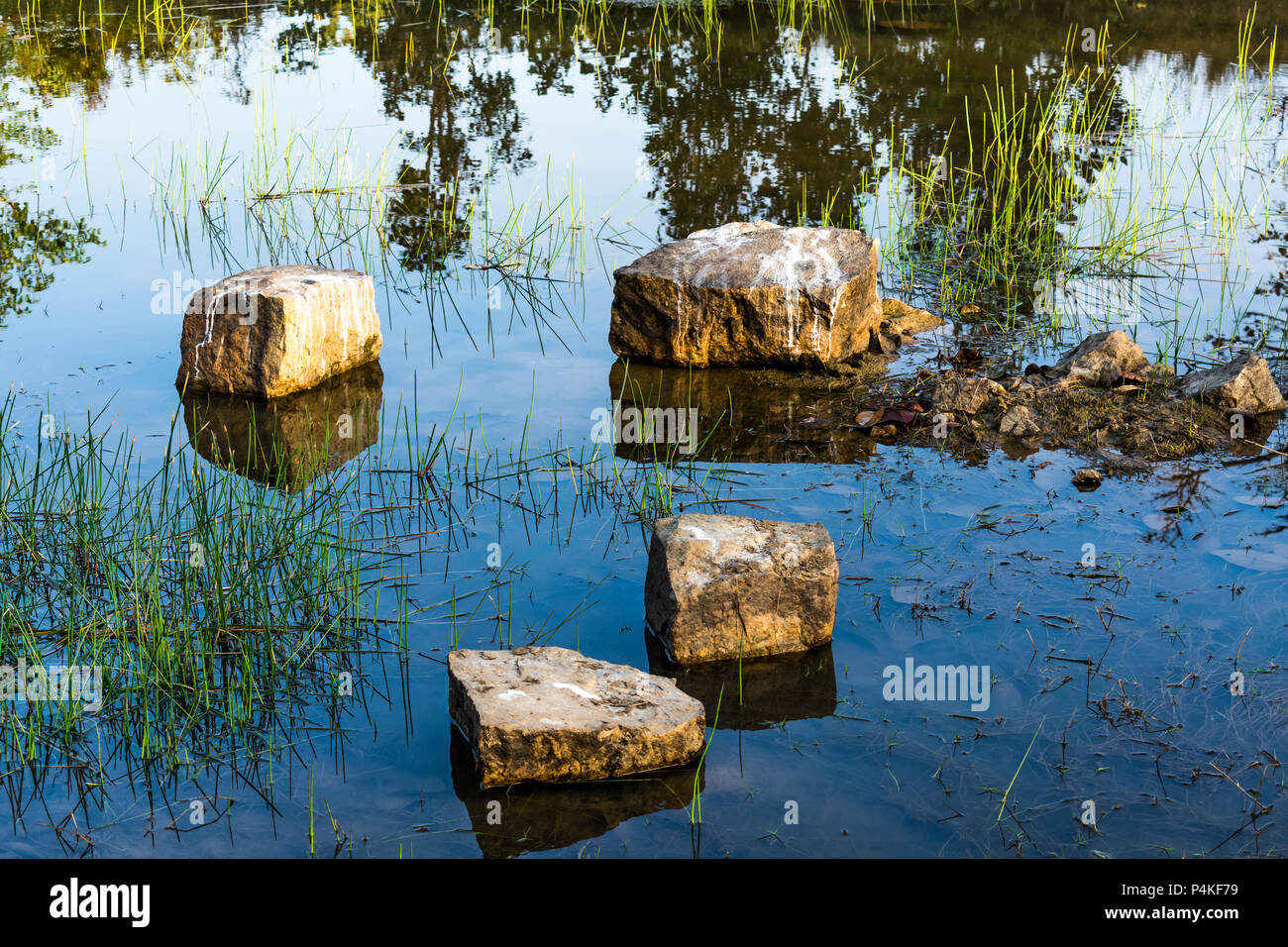 small stone at pond water with shadow of trees near pond looking ...