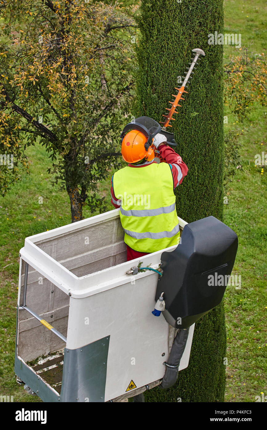 Equiped worker pruning a tree on a crane. Gardening works Stock Photo ...