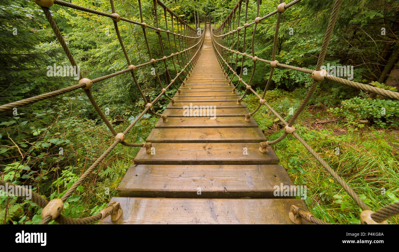 Forest rope bridge hike hi-res stock photography and images - Alamy