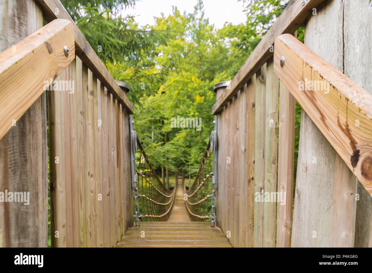 Forest rope bridge hike hi-res stock photography and images - Alamy