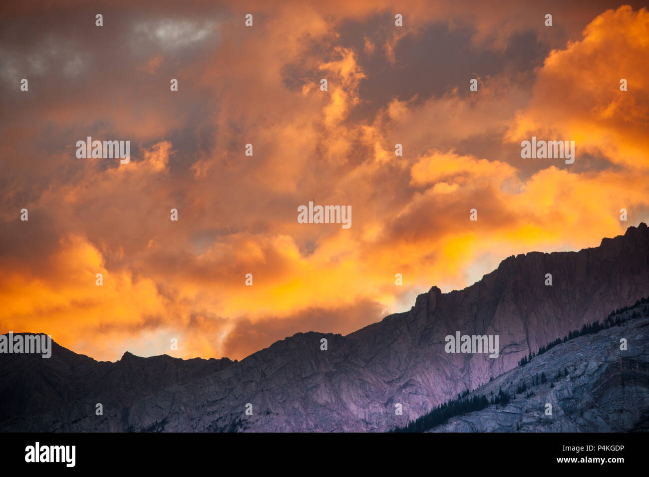British fluffy clouds trees hi-res stock photography and images - Alamy